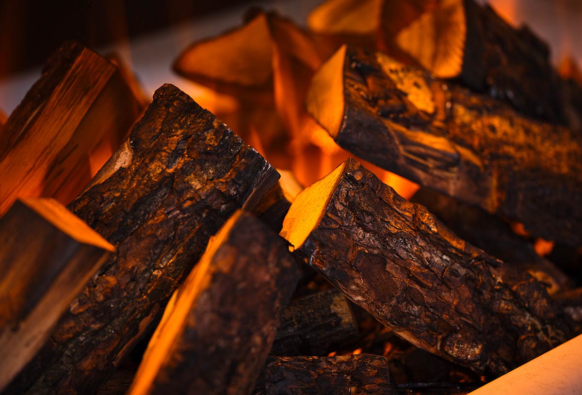 New Forest 870 British Fires | Best Fires